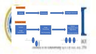 Introduction to Computer Vision - Image formation | PPTX