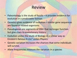 Unit 11 evolution of populations | PPTX | Genetics | Science