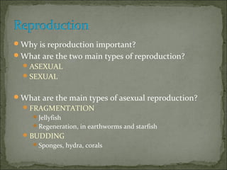 Unit 11 review reproduction and interaction 2 eso | PPT