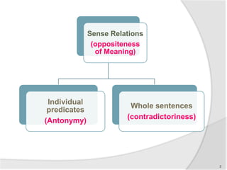 Unit 11 Sense Relations (2) | PPTX