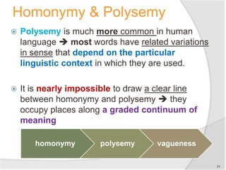 Unit 11 Sense Relations (2) | PPTX