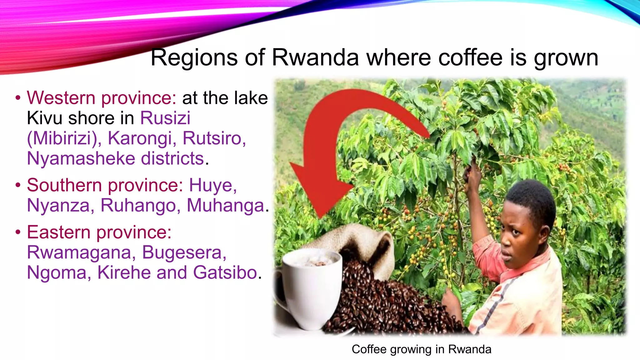 Unit 11 Agriculture in Rwanda.pptx