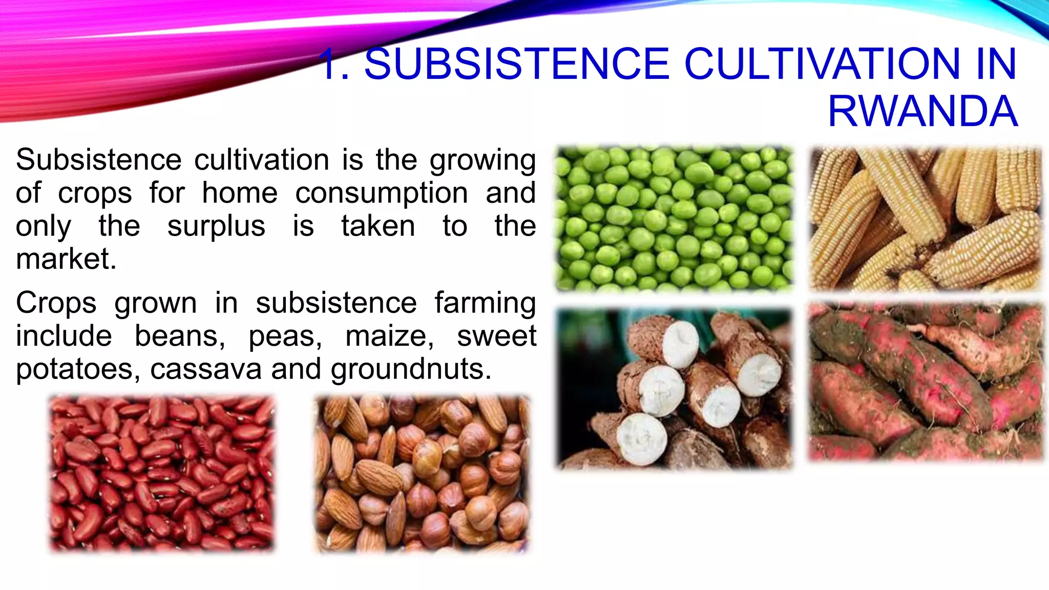 Unit 11 Agriculture in Rwanda.pptx