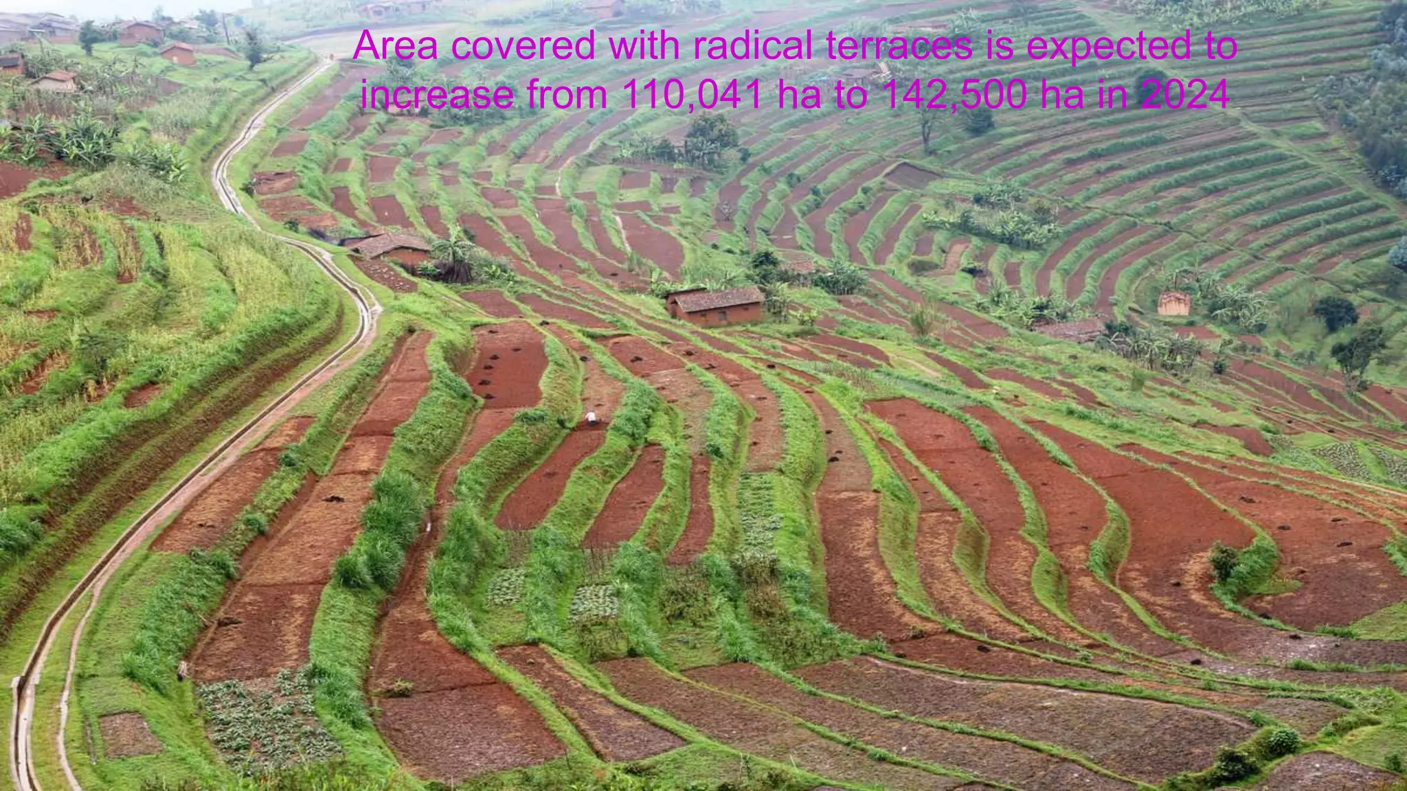 Unit 11 Agriculture in Rwanda.pptx