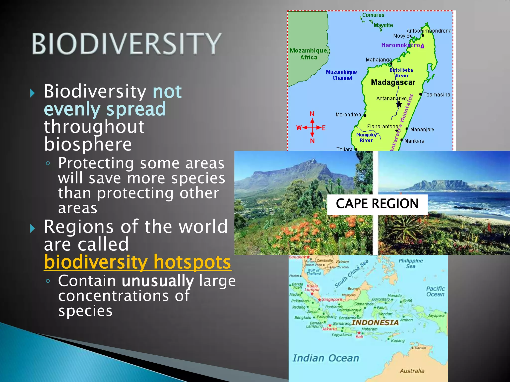 Unit 11 biodiversity and classification | PPTX