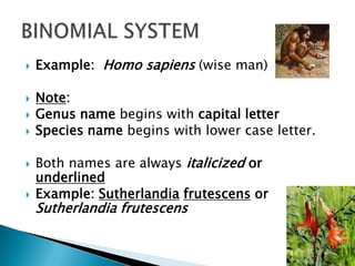Unit 11 biodiversity and classification | PPTX