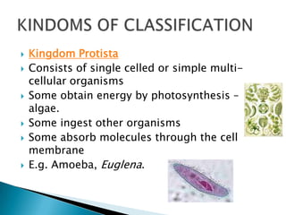 Unit 11 biodiversity and classification | PPTX