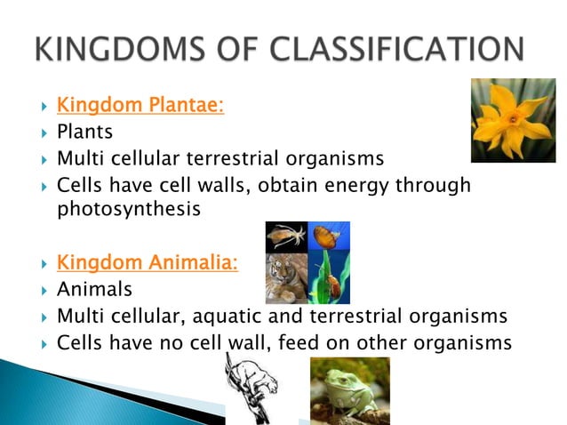 Unit 11 biodiversity and classification | PPTX | Biological Sciences ...
