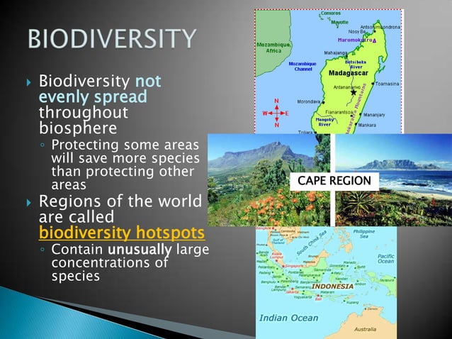 Unit 11 biodiversity and classification | PPTX | Biological Sciences ...