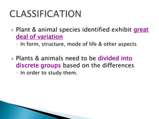 Unit 11 biodiversity and classification | PPTX