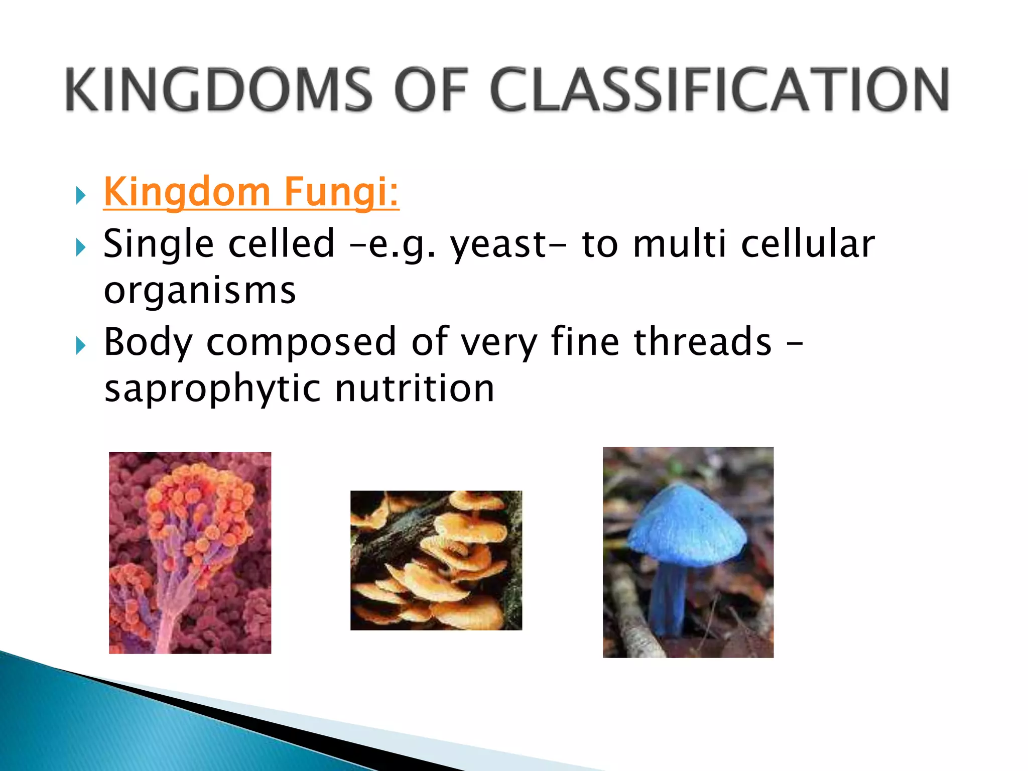 Unit11biodiversityandclassification 170825110507 | PPTX