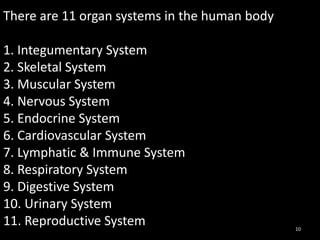 Unit 11 Human Body | PPTX