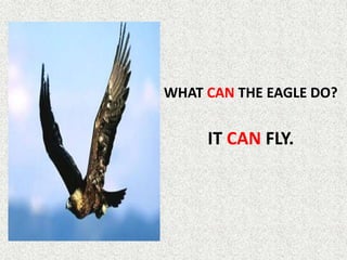 Unit11 i can do that! | PPTX