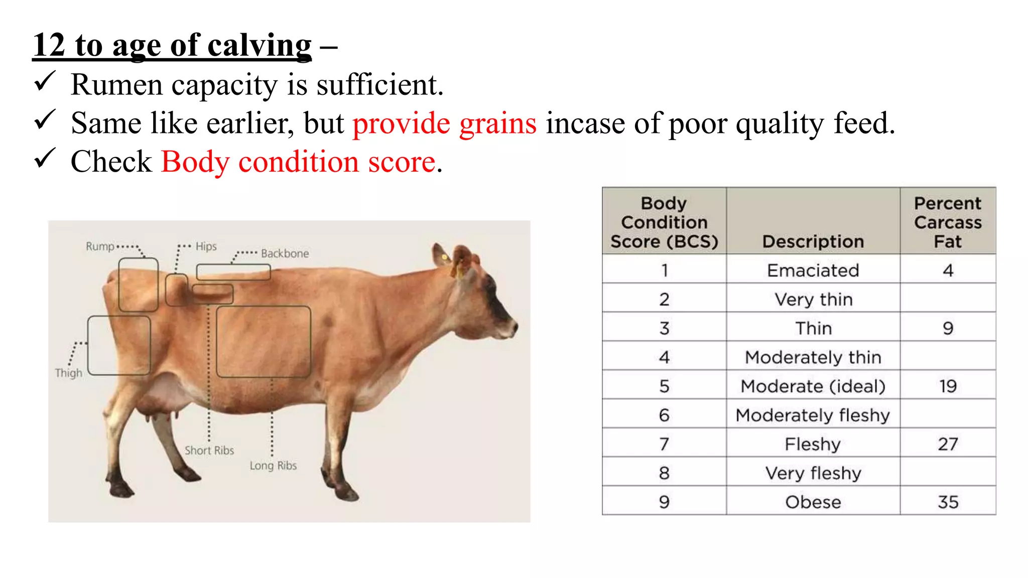 Unit 11 Management of Calves, growing Heifers, and Milch animals.pptx
