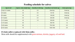 Unit 11 Management of Calves, growing Heifers, and Milch animals.pptx