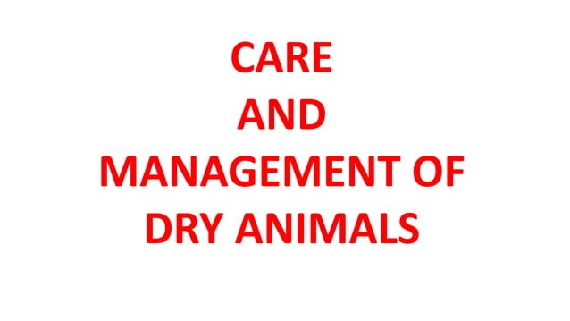 Unit 11 Management of Calves, growing Heifers, and Milch animals.pptx