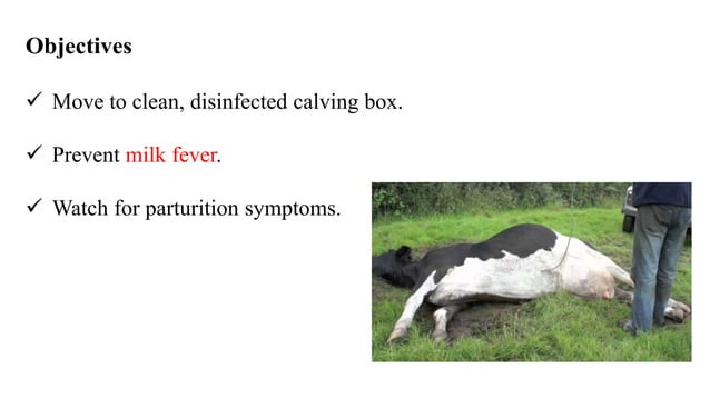 Unit 11 Management of Calves, growing Heifers, and Milch animals.pptx