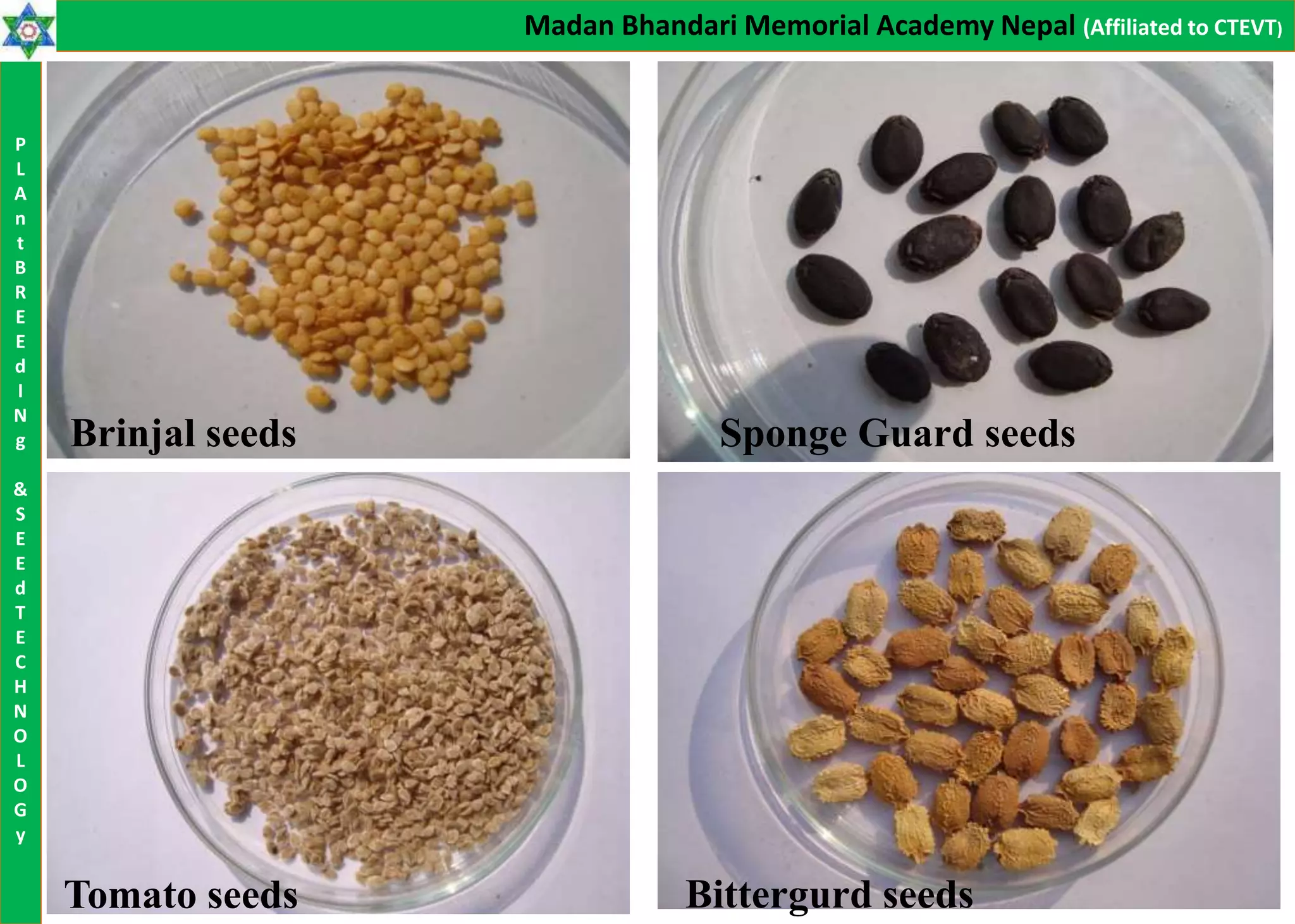 Unit 11 Seed Quality Control.pptx