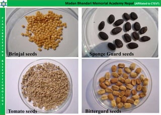 Unit 11 Seed Quality Control.pptx