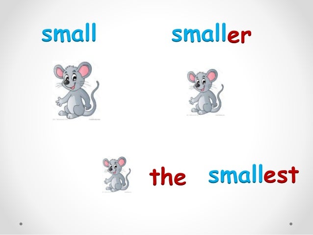 Unit 11 the biggest, the fastest..