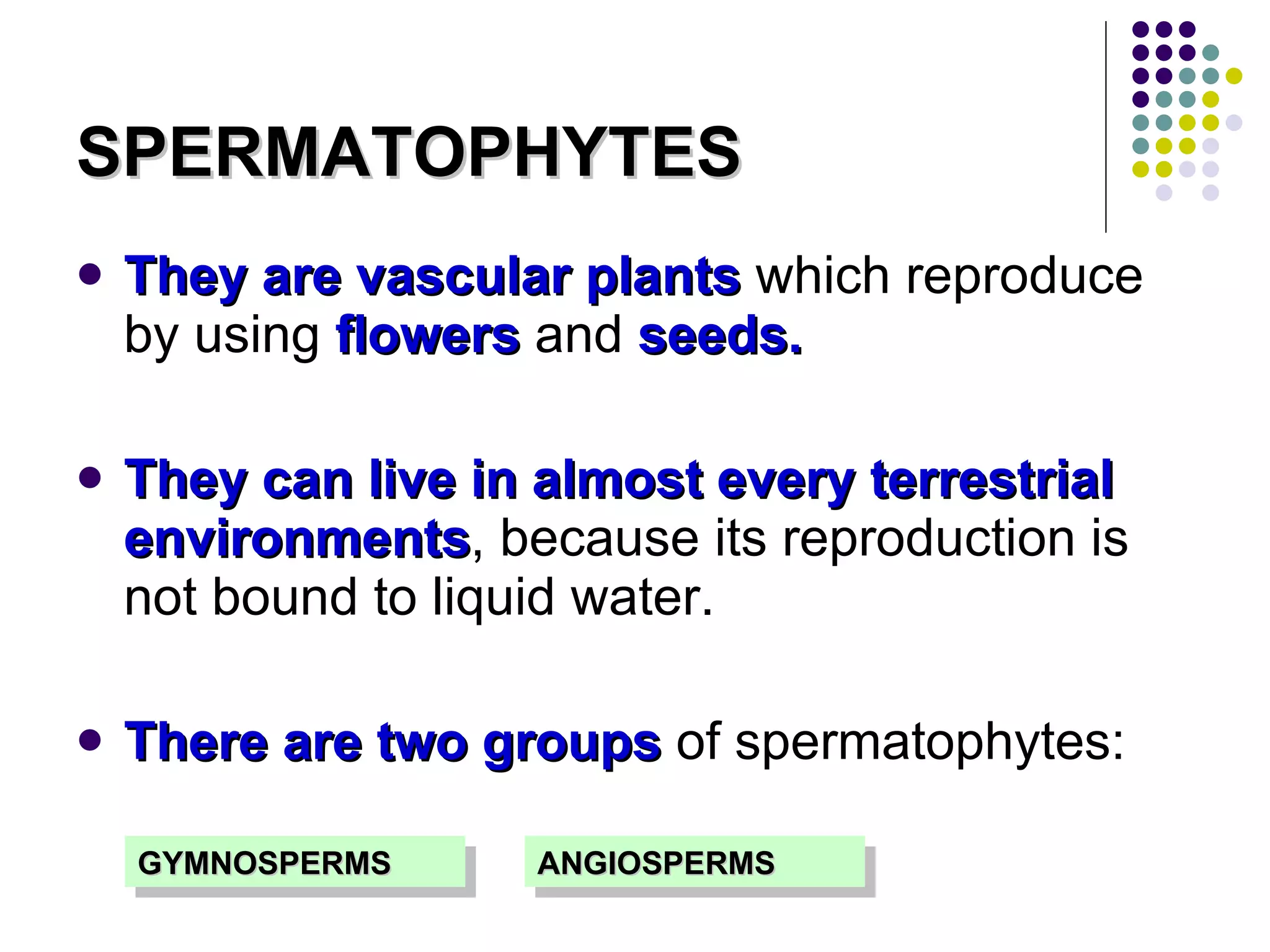 The Plant Kingdom | PPS