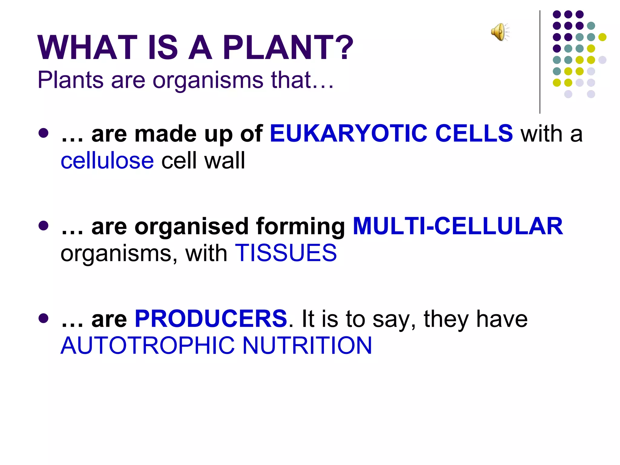 The Plant Kingdom | PPS