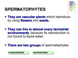 The Plant Kingdom | PPS