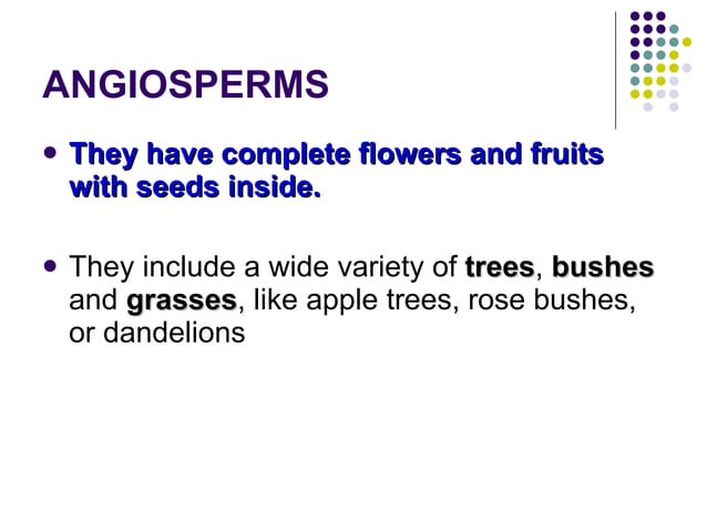 The Plant Kingdom | PPS