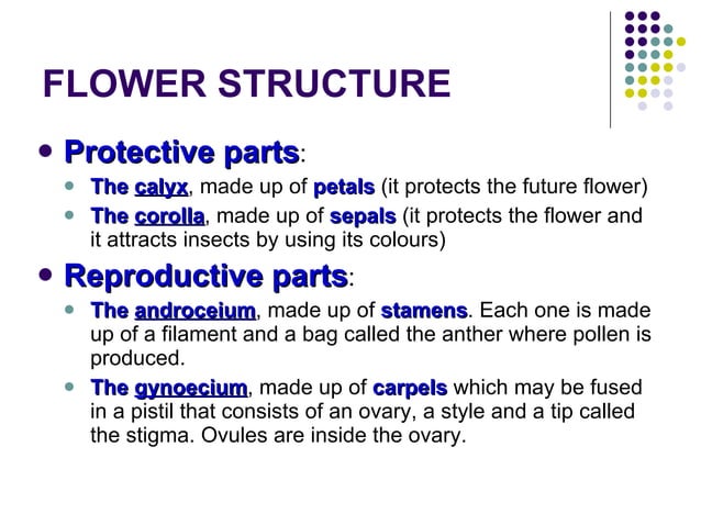 The Plant Kingdom | PPS