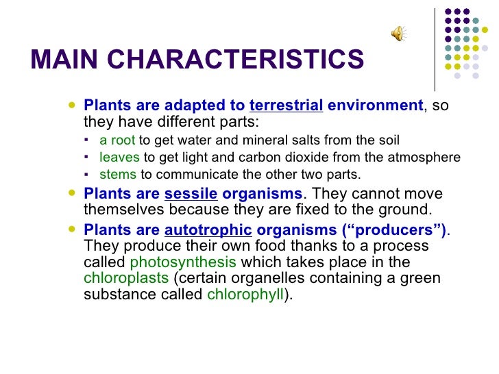 Characteristics Of Plants