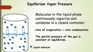 Chem 2 - Vapor Pressure: Phase Transitions II | PPTX