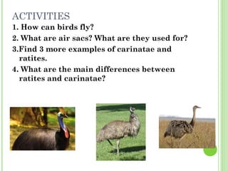 Unit 12. Vertebrates | PPT