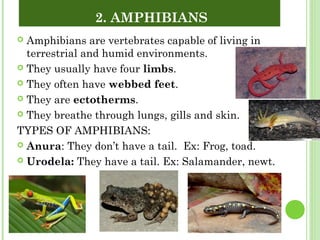 Unit 12. Vertebrates | PPT