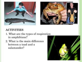 Unit 12. Vertebrates | PPT