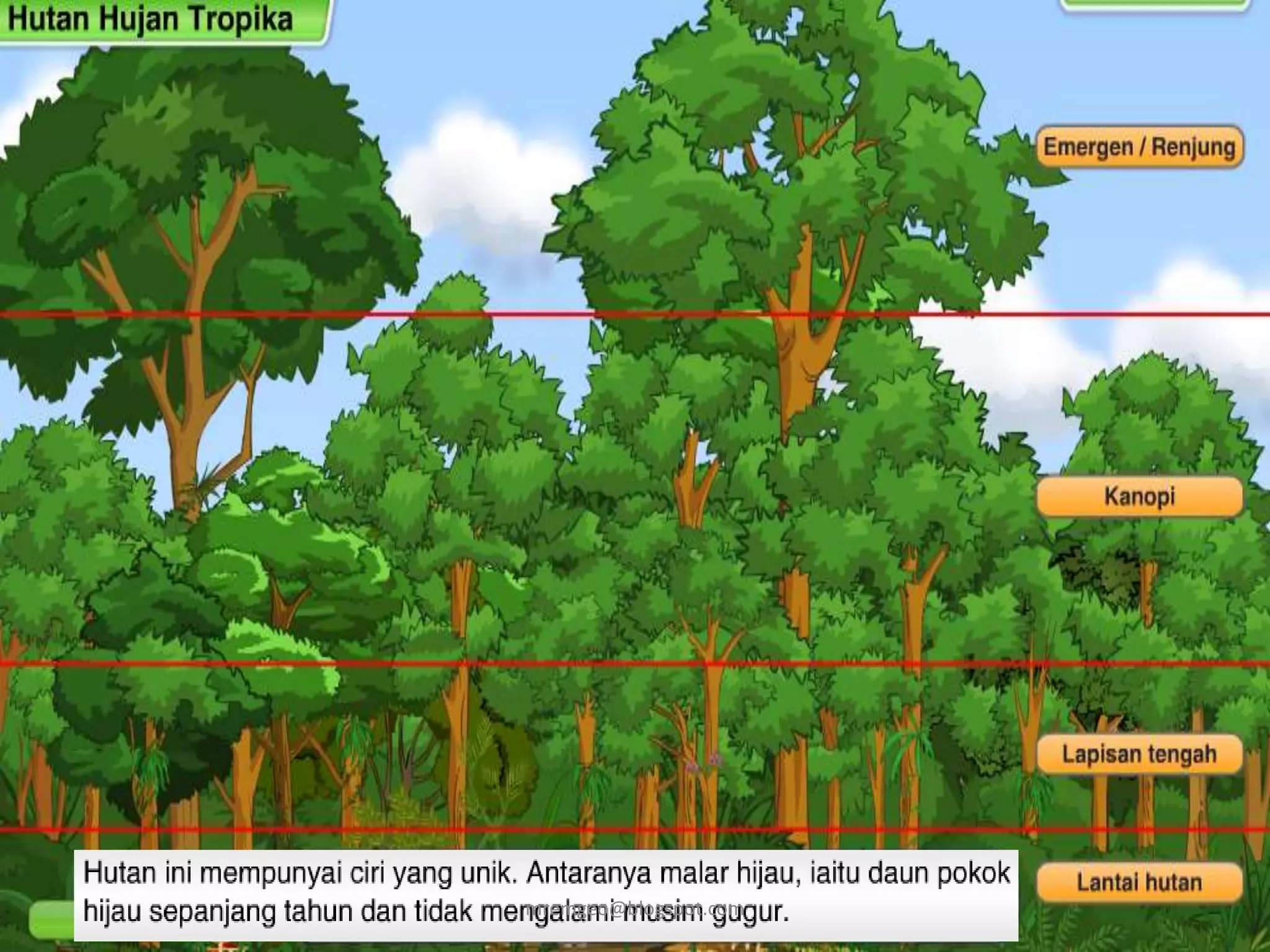 Geo Ting 1: Jenis dan taburan tumbuhan di Malaysia | PPTX