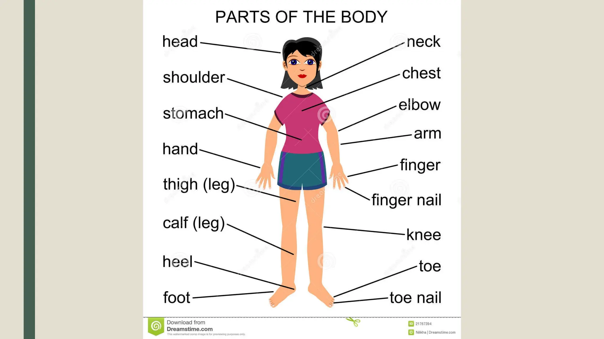 UNIT 12.-Body parts and adjectives to describe body | PPTX