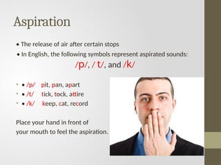 Beginning voiceless stops p t k in English Phonetics | PPTX