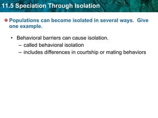 Unit 12 Mechanisms For Evolution | PPT | Genetics | Science