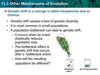 Unit 12 Mechanisms For Evolution | PPT | Genetics | Science