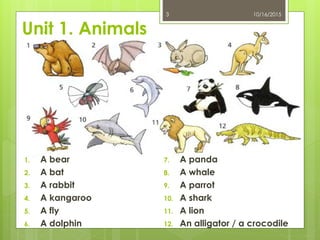 Unit 1 & 2 Animals & Which animals | PPTX