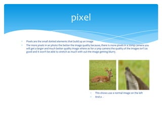 Unit 12 assignment 1 | PPTX