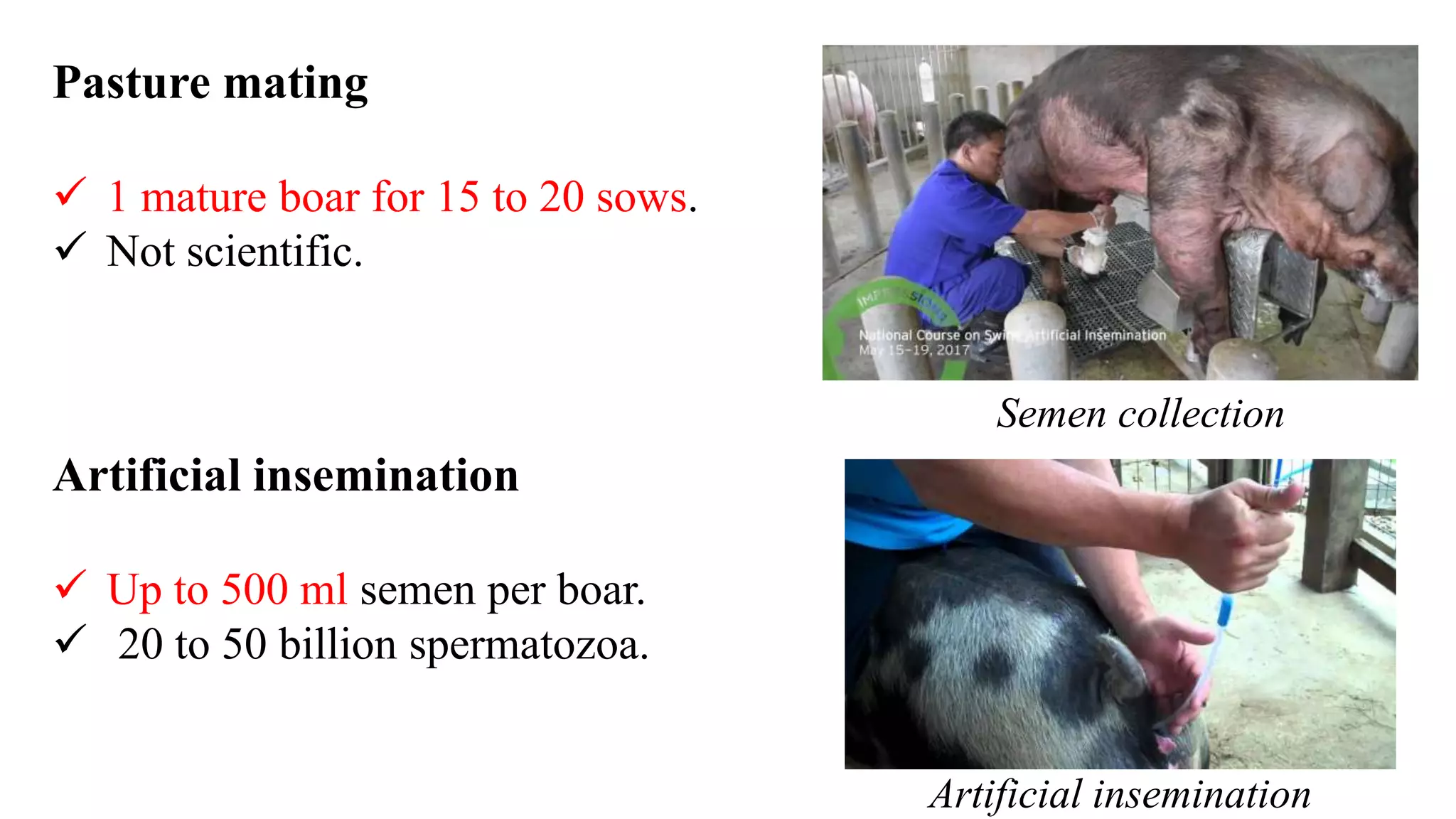 Unit 12 Management of Sheep, Goat, and Swine.pptx