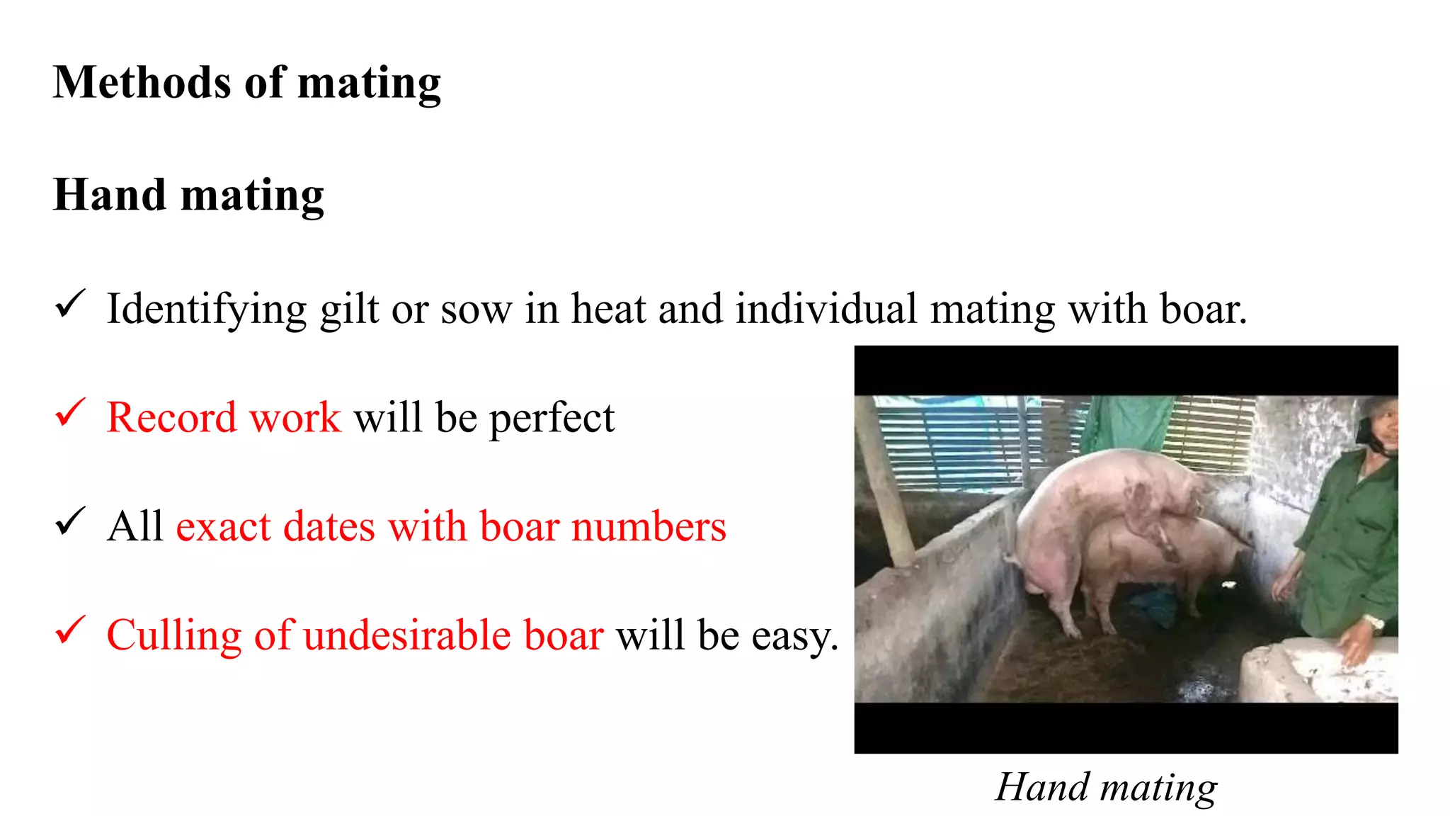 Unit 12 Management of Sheep, Goat, and Swine.pptx