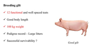 Unit 12 Management of Sheep, Goat, and Swine.pptx
