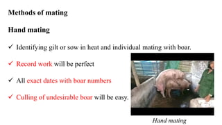 Unit 12 Management of Sheep, Goat, and Swine.pptx