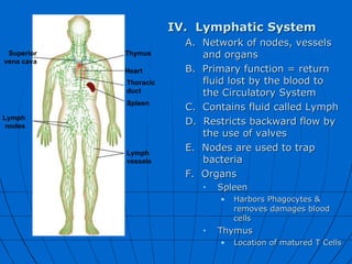 Unit 13 circulatory system | PPT | Heart and Cardiovascular Diseases ...