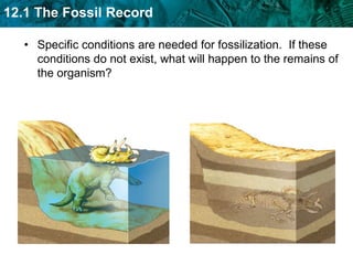 Unit 13a Fossil record and geologic time scale | PPT