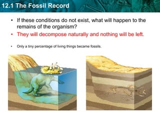 Unit 13a Fossil record and geologic time scale | PPT