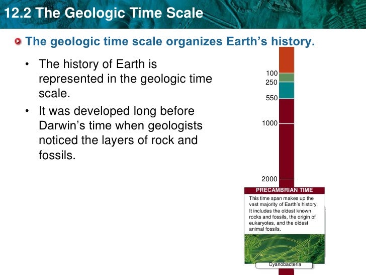 Unit 13a Fossil record and geologic time scale