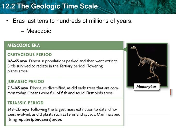 Unit 13a Fossil record and geologic time scale